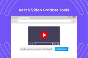 Best 5 Video Grabber Tools to Download Online Videos [Comparison ...